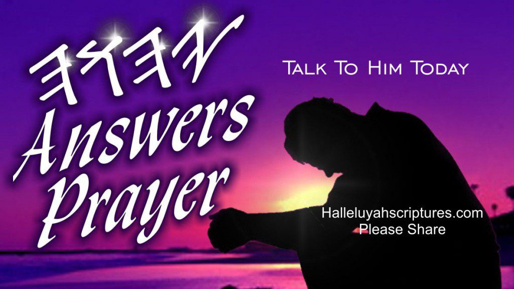 HalleluYah Scriptures Orders Update - HalleluYah!!! - HalleluYah Scriptures
