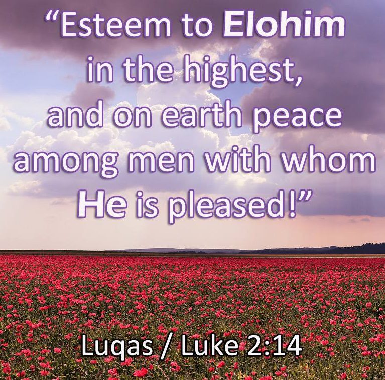 HalleluYah Scriptures Orders Update - HalleluYah!!! - HalleluYah Scriptures