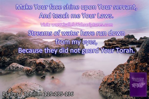 Free Pictures Verses - Download & Share His Word - HalleluYah Scriptures
