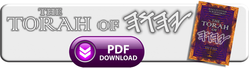 Torah Book of YHWH – Digital Copy - HalleluYah Scriptures